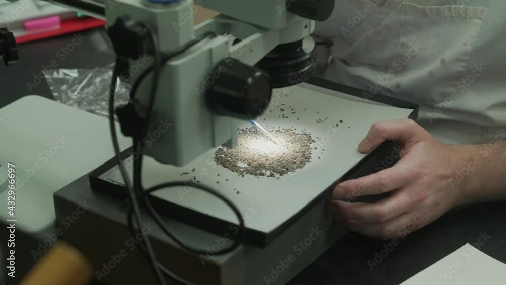 This video shows the hands of a paleontologist sifting through sediment ...