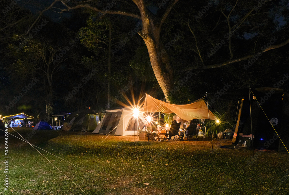 tents under big tree in the forest in camping area at natural park at ...