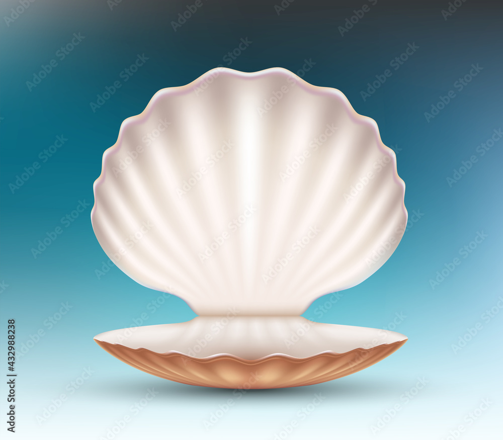 Open empty seashell. Vector mockup Stock Vector | Adobe Stock