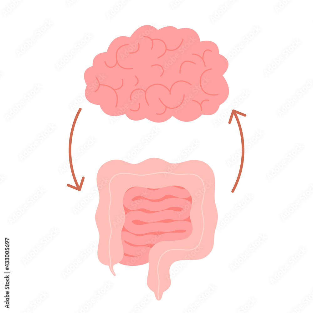 Vettoriale Stock Connection of cute healthy happy brain and intestine ...