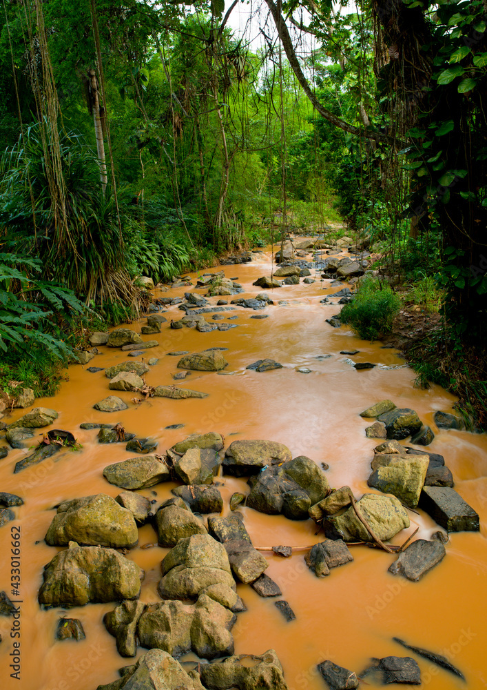 Small Muddy River In N Dalatando Botanical Garden, Angola Stock Photo ...