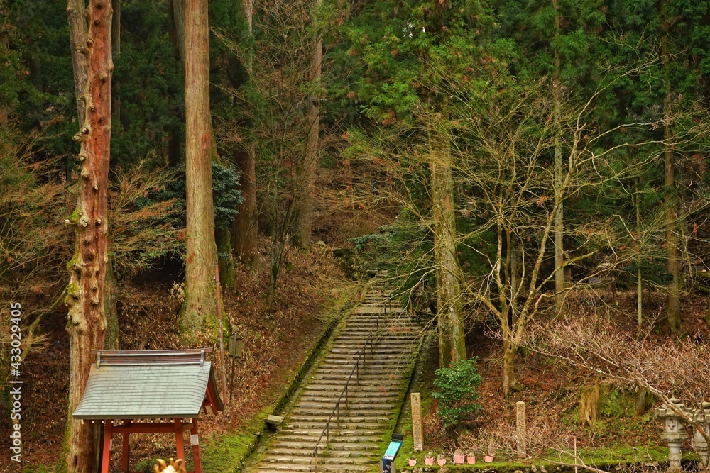 Old historic stone stair at Enryakuji Temple (Mount Hieizan) Saitou in ...