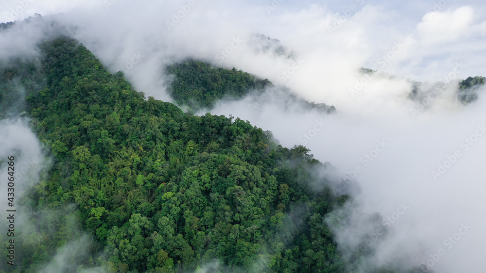 Aerial view of a village in the lush green rain cloud cover tropical ...