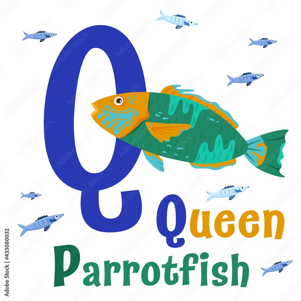 Sea Animals Alphabet. ABC for children. Letter Q Stock Vector | Adobe Stock