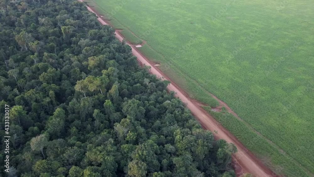 Stockvideon Drone aerial view of deforestation in the amazon rainforest ...