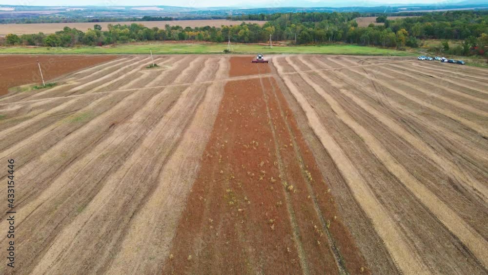 Top view. The camera rises above the field, where the harvest takes ...