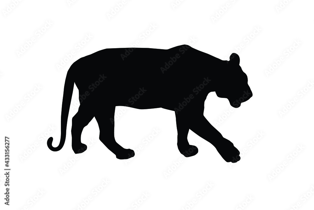Tiger Vector Silhouette Illustration Isolated On White Background Big