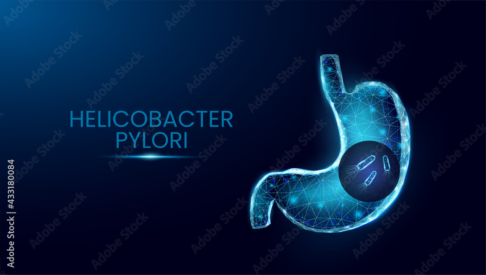 Human stomach and helicobacter pylori. Wireframe low poly style ...