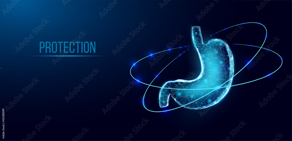 Human stomach protection. Wireframe low poly style. Concept for medical ...