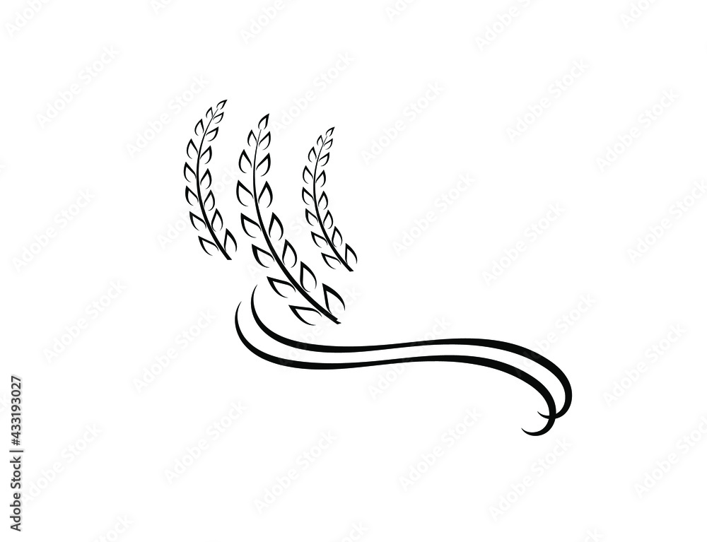 Vector black wheat silhouettes and swirls, line art, logo template ...