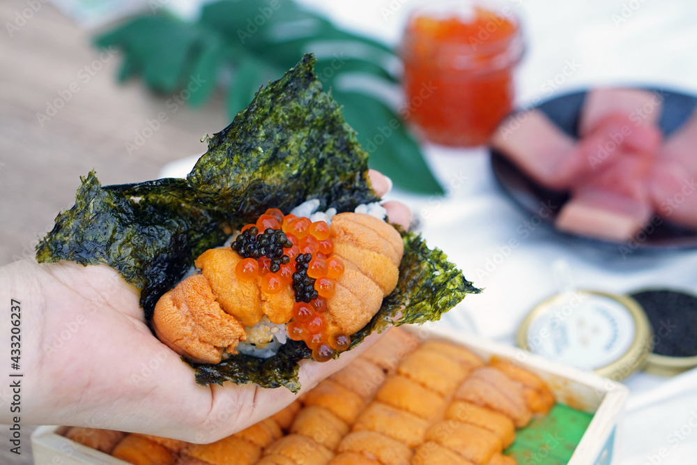 Uni Sashimi