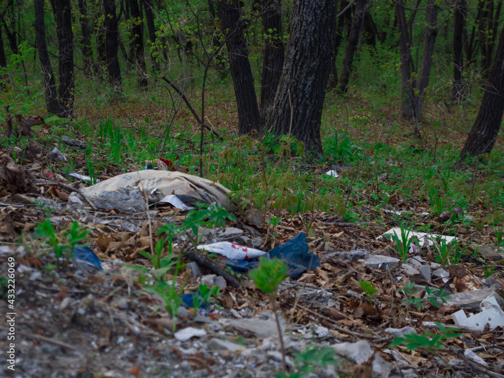 Garbage pollution in forest. Ecological problem with trash dump in ...