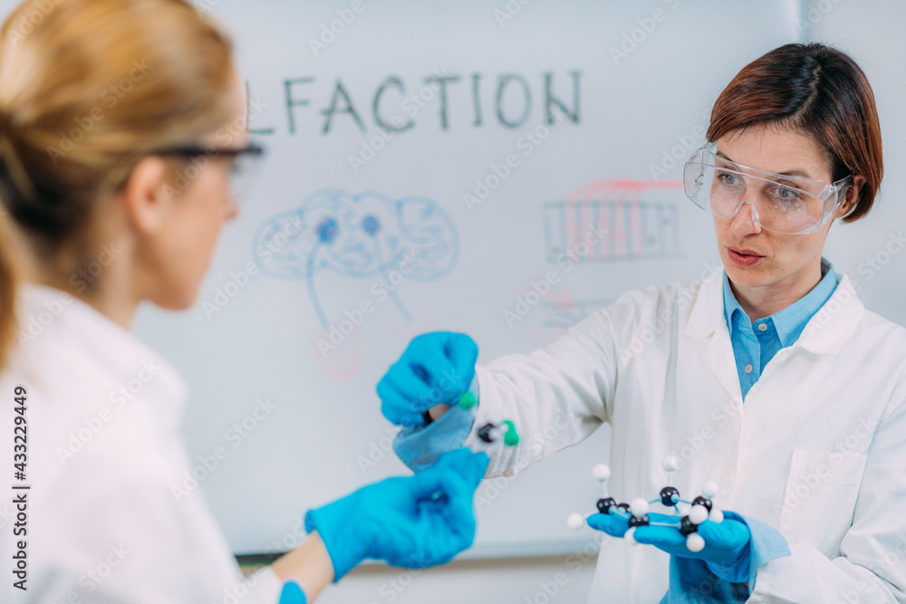 Olfaction. Female Scientists Examining Smells. Stock Photo | Adobe Stock