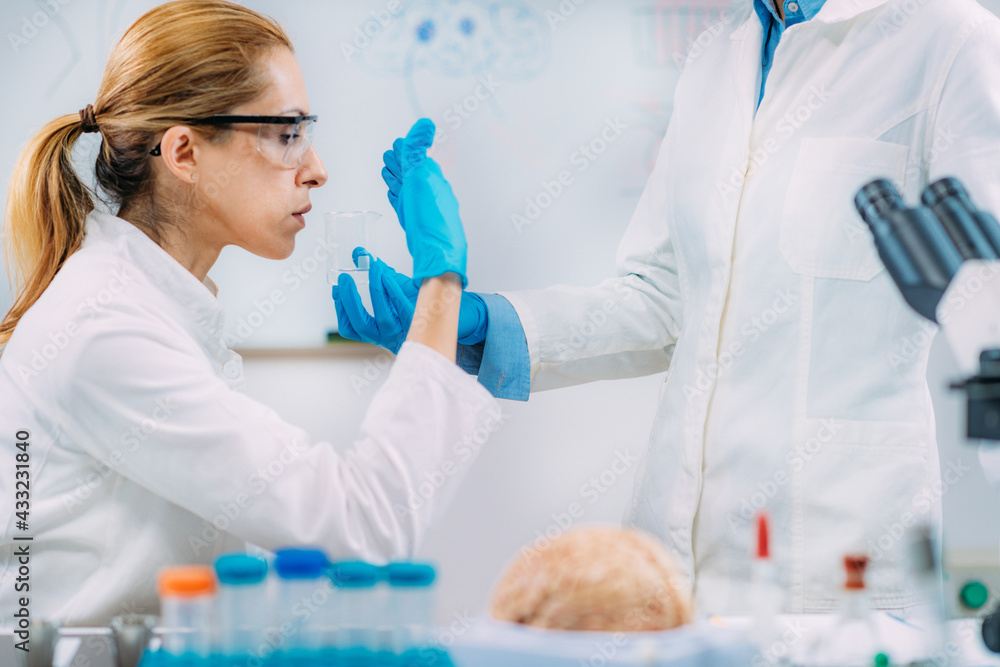 Scientists Examining The Smell Of A Substance. Olfaction Laboratory ...