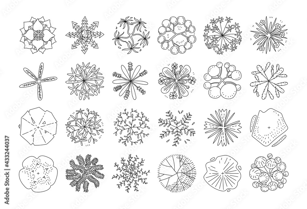 hand drawn vector set of top view tree. Stock Vector | Adobe Stock