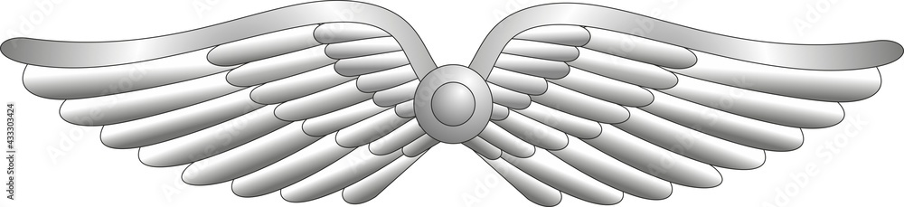 Silver metal wings, air Force insignia on a white background. Vector ...