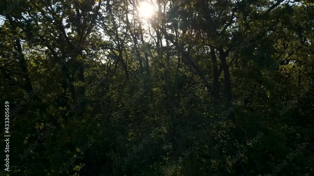 the drone rises above the forests in the distance you can see ...