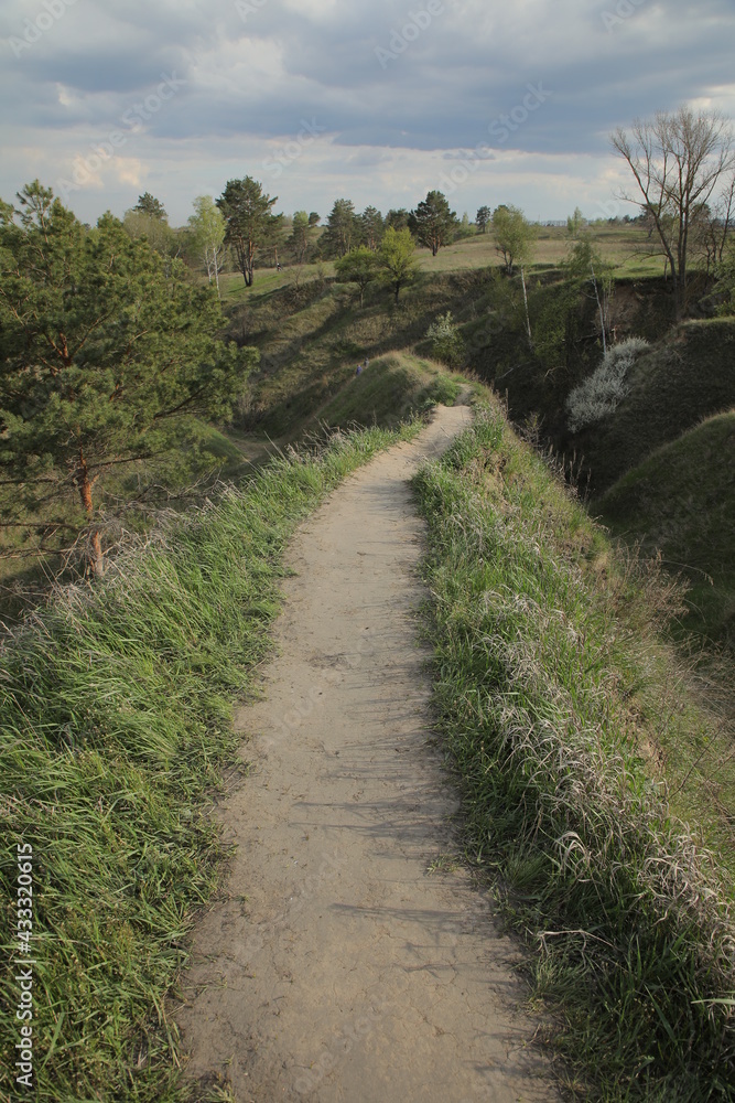 beautiful sunny wilderness landscapes, a place to walk and relax with ...