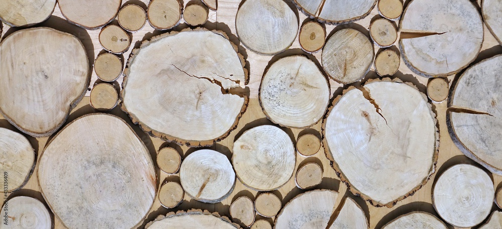 Cut Wooden Rings Decorative Wall Wide Panel. Tree Stumps Panoramic ...