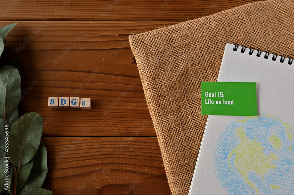 There is card with the statement Goal 15:Life on land on it which is ...