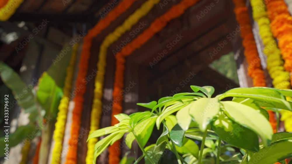 Man playing Indian musical instrument in Indian wedding. Close up Shot ...