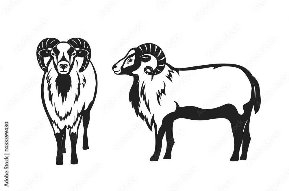 Mouflon sheep vector illustration silhouette , side and front view ...