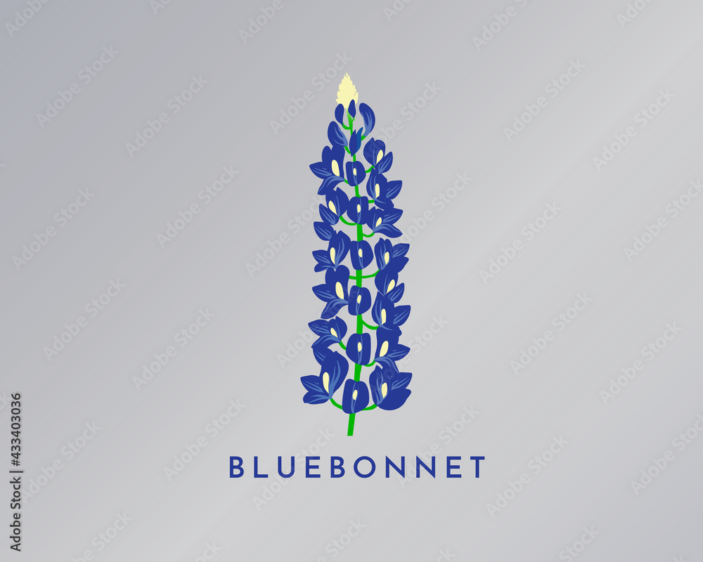 BlueBonnet Vector Stock Vector | Adobe Stock