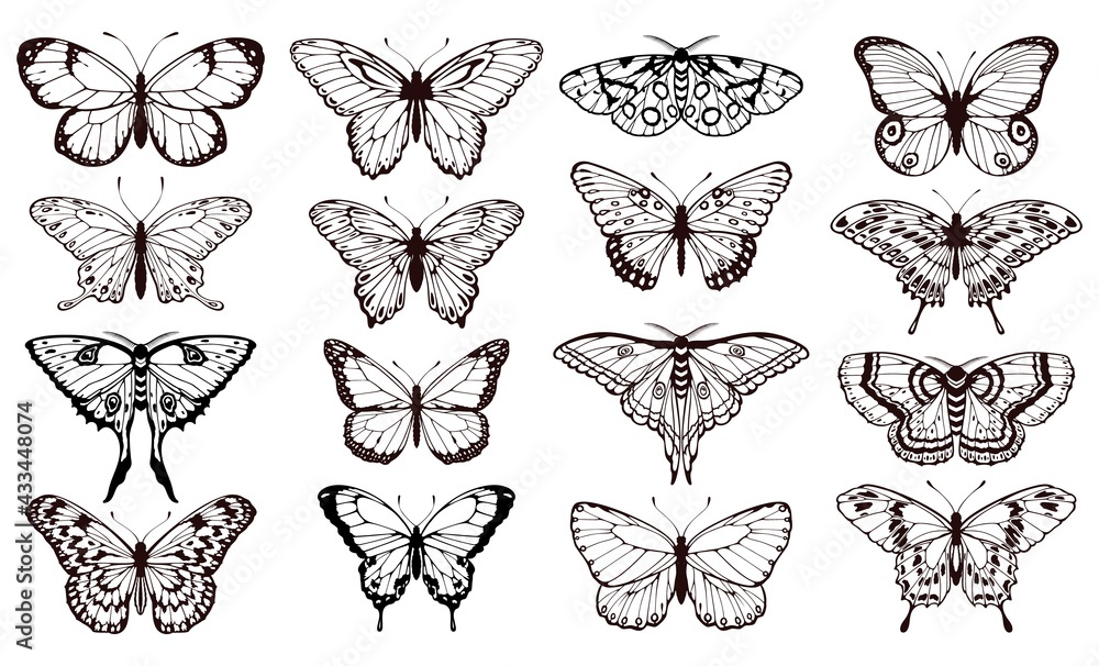 Butterfly silhouettes. Black outline butterflies tattoo graphic ...