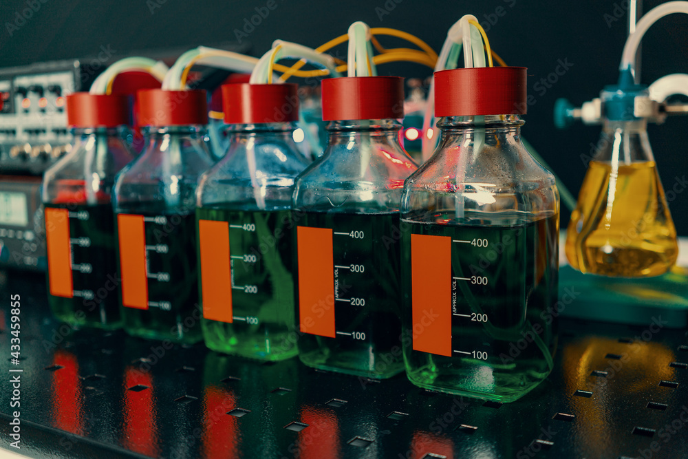 Experimental setup for enzymatic synthesis by genetically modified ...