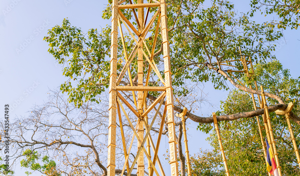 Jaya Sri Maha Bhodi tree is a sacred fig tree in the Mahamewna garden ...