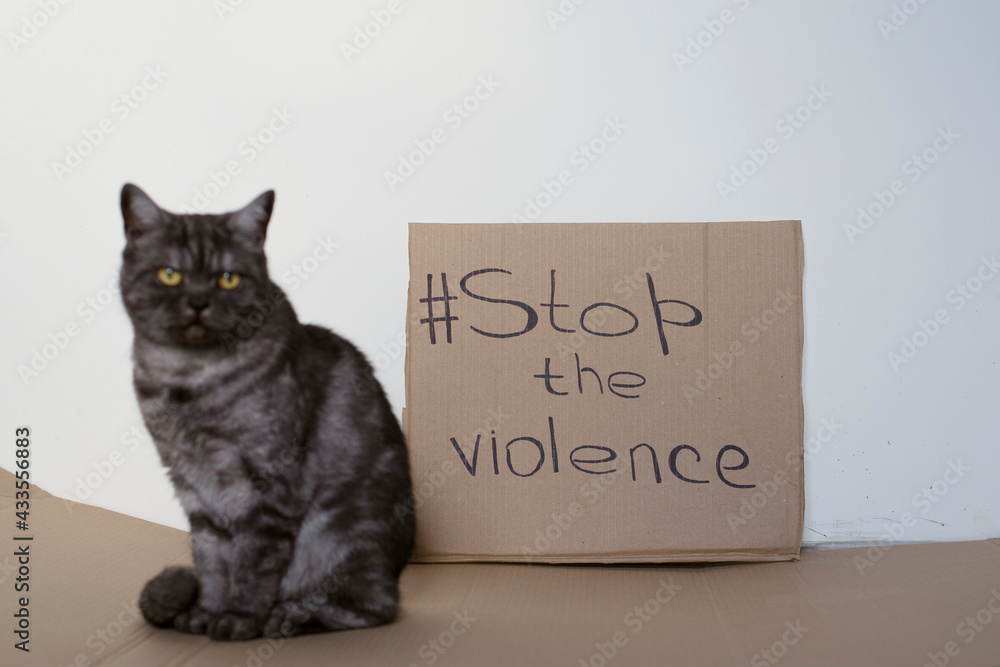 Stop Animal Cruelty Signs