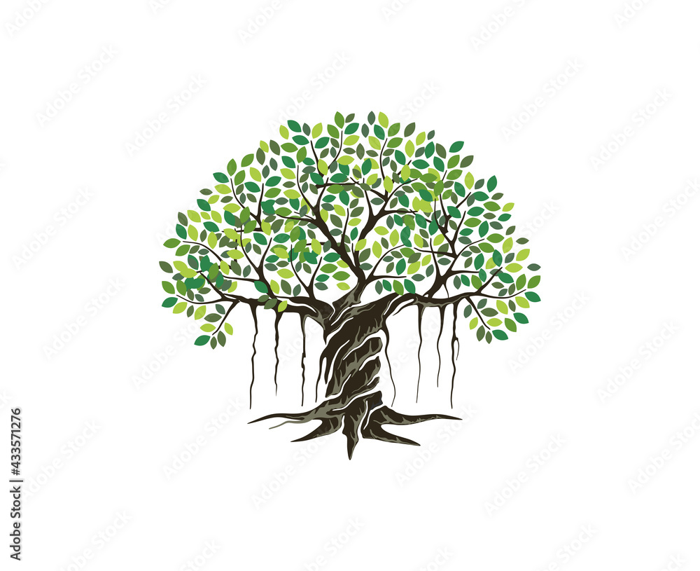 banyan tree hand drawn design Stock Vector | Adobe Stock