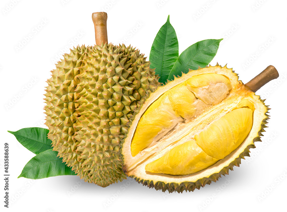 Photo & Art Print Fresh durian with leaf isolated on white background ...