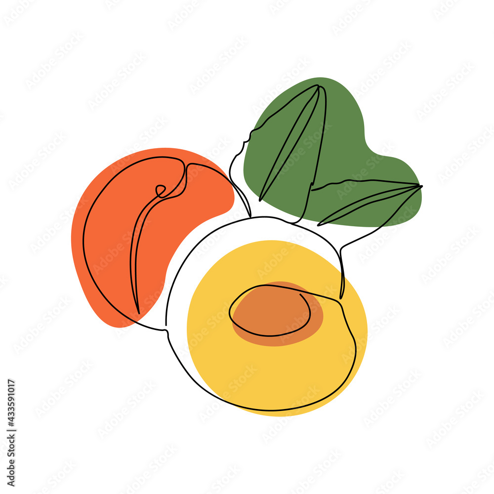 Continuous one line drawing peach. Vector illustration. Black line art ...