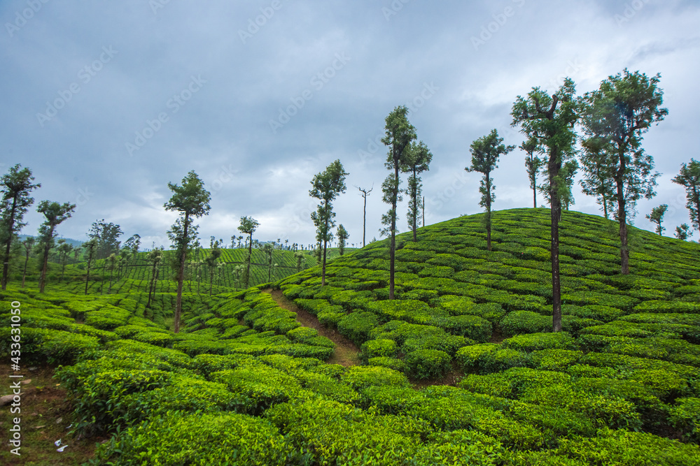 Valparai is a hill station in the south Indian state of Tamil Nadu ...