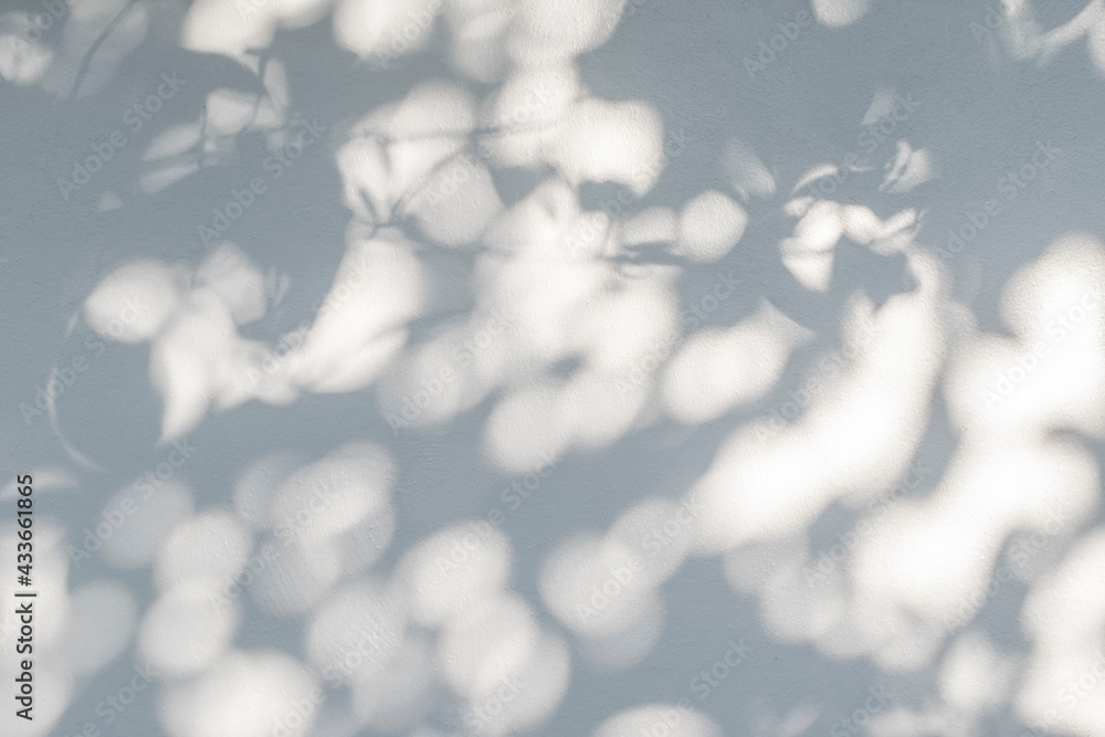 Shadow and light from sunlight of natural leaf tree branch , overlay ...