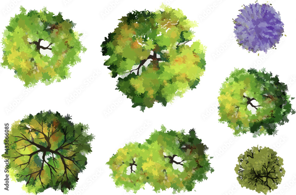 Collection of abstract vector green tree top view isolated on white ...
