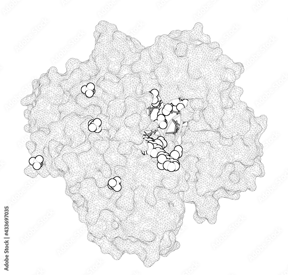 3D rendering as a line drawing of a molecule. Structures of KOD and 9N ...