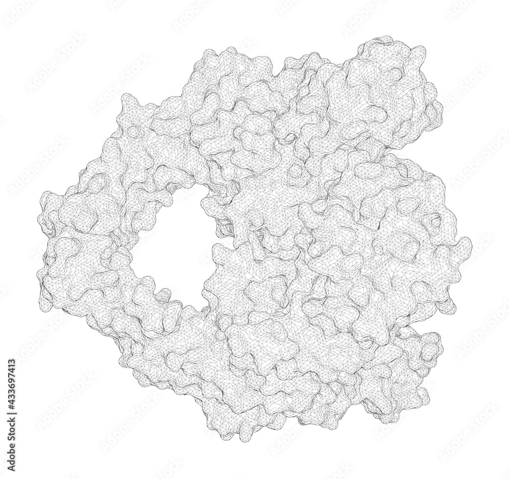 3D rendering as a line drawing of a molecule. On the structural basis ...