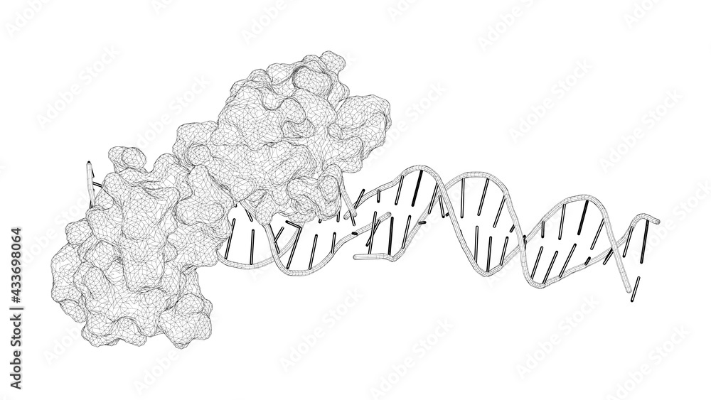 3D rendering as a line drawing of a molecule. Structures of Omega ...