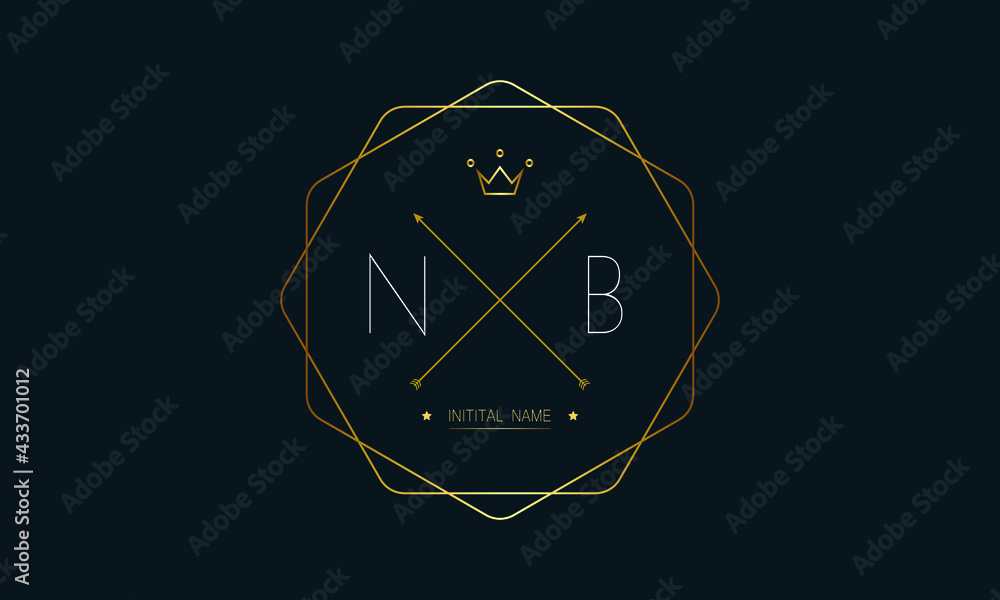N/B letter stylish luxury hexagonal logo is golden and white color, N/B ...