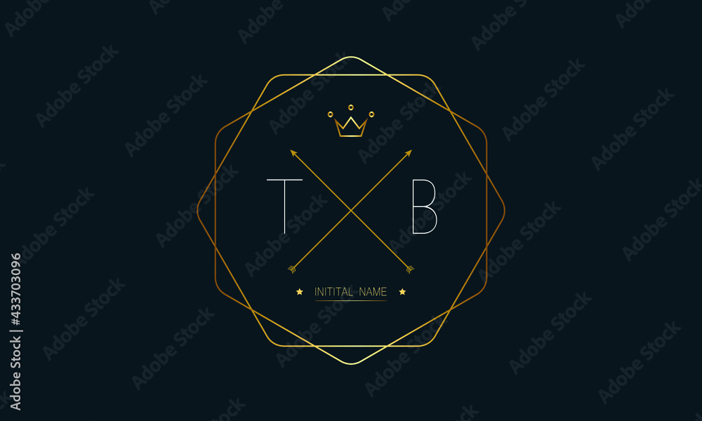 T/B letter stylish luxury hexagonal logo is golden and white color, T/B ...
