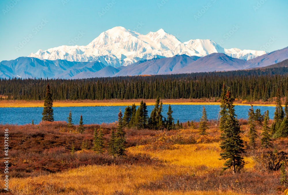 the majestic snow capped mt. denali on a clear blue autumn day. Stock ...
