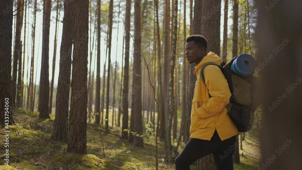 Black african male hiking on trail up peaceful lush high elevation ...