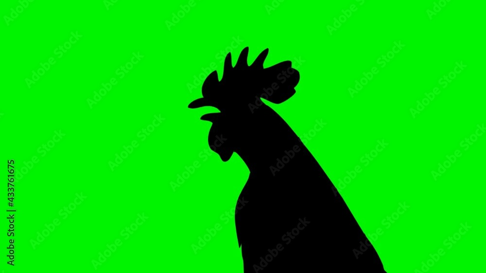 Head of Black Shaped Rooster Singing Head of Singing Rooster 2D cartoon ...