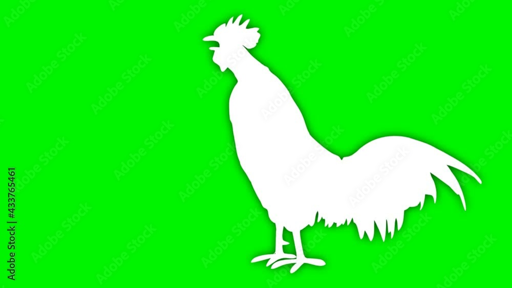 Vidéo Stock Animated White Profile Singing Rooster With Shadow 2D ...