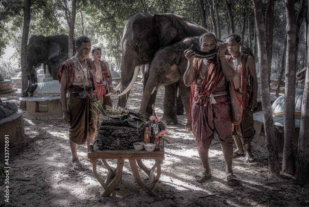 Kuy people were villagers of Surin. In old days when they catch wild ...