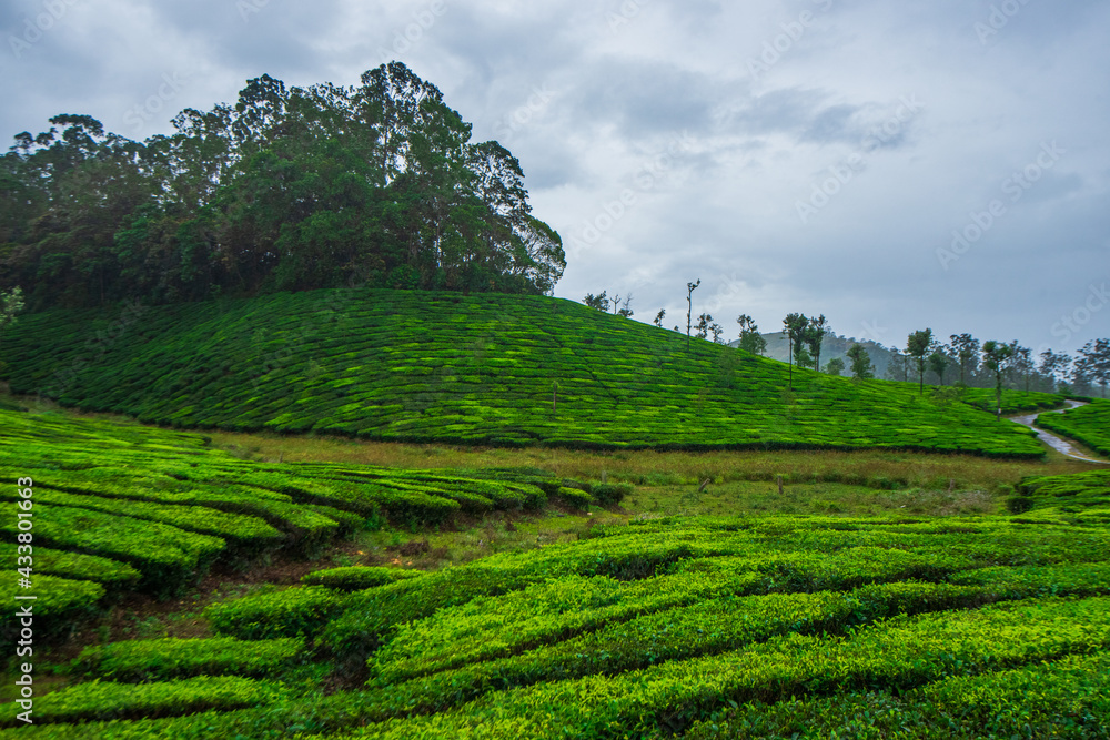 Valparai is a hill station in the south Indian state of Tamil Nadu ...