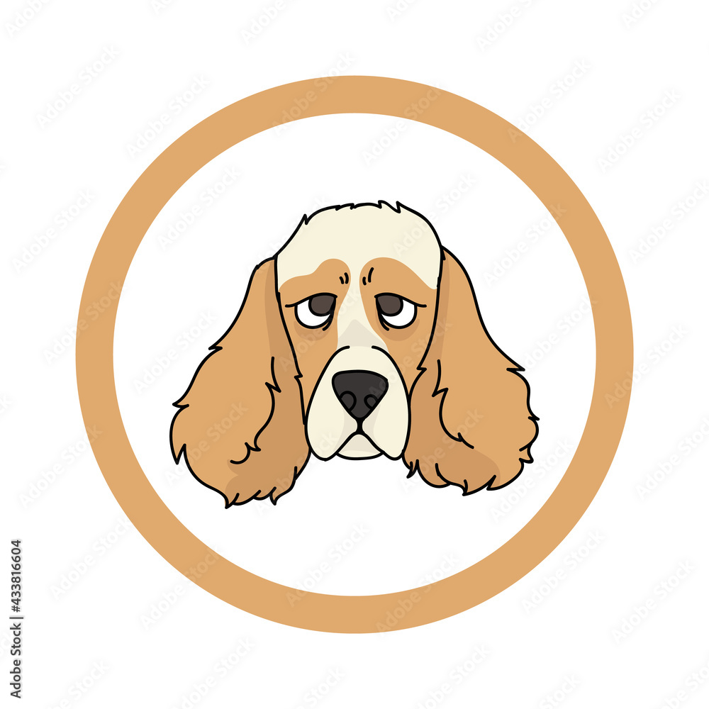 Cute cartoon Cocker Spaniel face in circle dog vector clipart. Pedigree ...