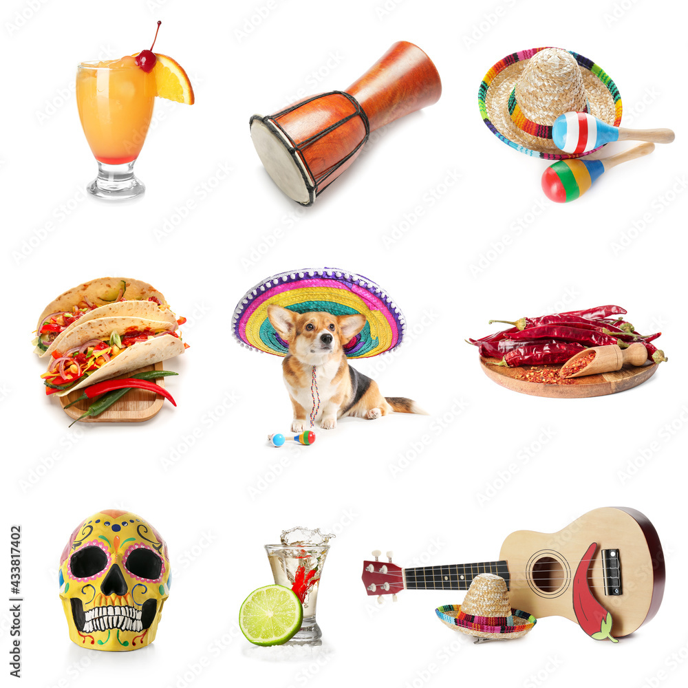 Cute dog with symbols of Mexico on white background Stock Photo | Adobe ...